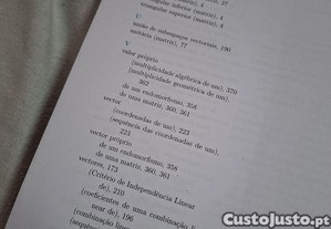 Livro De Álgebra Linear | Livros, à venda | Leiria | 45029382 ...