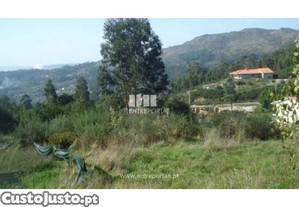 Casa Rústica T1 Marco De Canaveses | Terrenos e Quintas, à venda ...