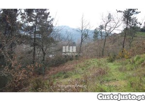 Casa Rústica T1 Marco De Canaveses | Terrenos e Quintas, à venda ...