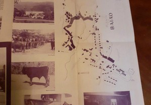Baião Mapa 1959 Edição Rotep Raro | Antiguidades e Colecções, à venda ...