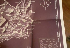 Baião Mapa 1959 Edição Rotep Raro | Antiguidades e Colecções, à venda ...