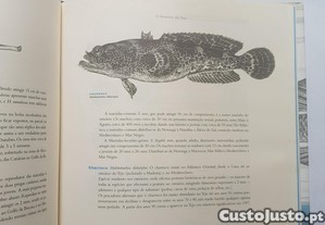 Maria José Costa // O Estuário Do Tejo 1999 Ilustrado | Livros, à venda ...