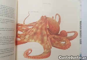 Maria José Costa // O Estuário Do Tejo 1999 Ilustrado | Livros, à venda ...