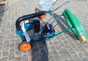 Motor De Rega Robin A Diesel De 2,5' Dy42 | Outro equipamento ...