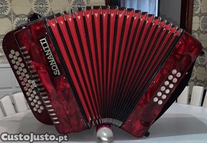 Concertina Sonantti 3 Vozes (sol,do,fa ) | Instrumentos musicais, à ...