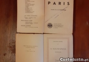 A Maltrapilha - Concordia Merrel E Paris Vol I - Émile Zola | Livros, à ...