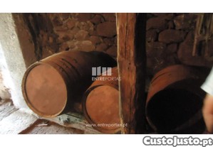 Casa Rústica T1 Fafe | Terrenos e Quintas, à venda | Braga | 44721774 ...