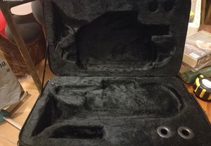 Malas De Instrumentos | Instrumentos musicais, à venda | Faro ...