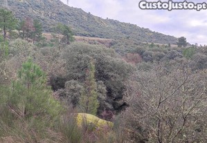 Terreno Rustico Com 16643 M2 | Terrenos e Quintas, à venda | Guarda ...