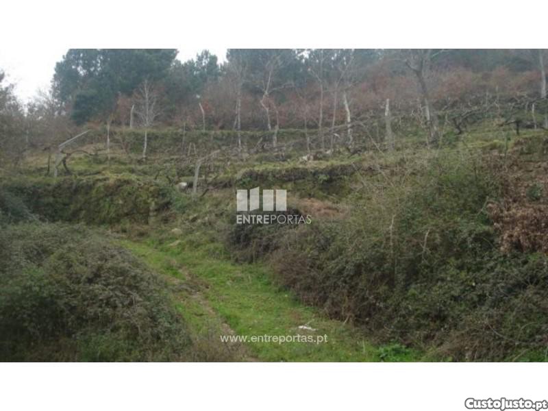 Casa Rústica T1 Cinfães | Terrenos e Quintas, à venda | Viseu ...