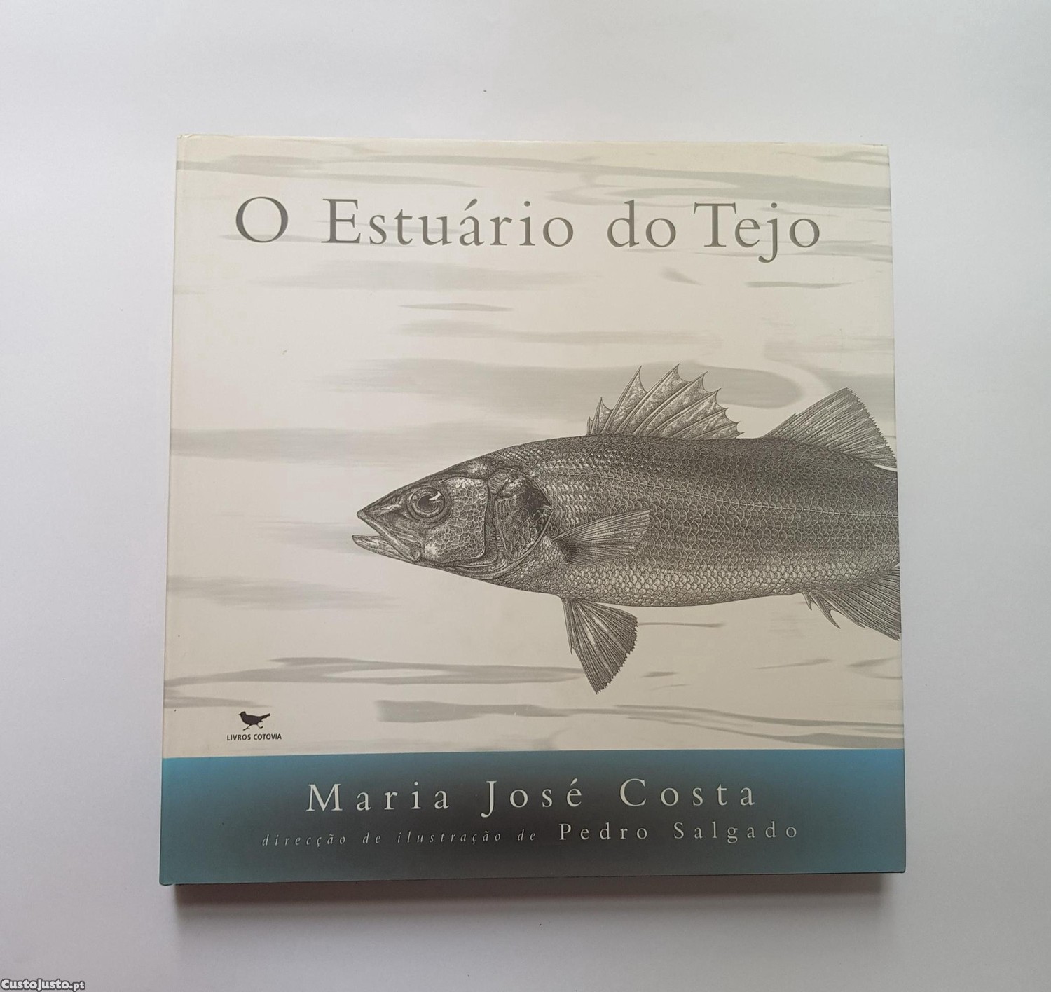 Maria José Costa // O Estuário Do Tejo 1999 Ilustrado | Livros, à venda ...