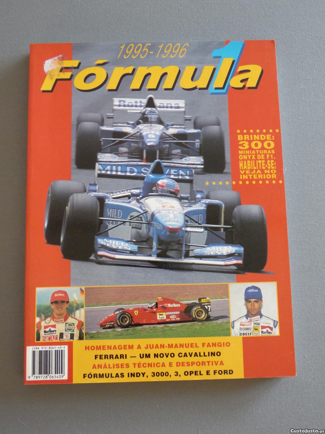Livro Fórmula 1 1995/96 | Livros, à venda | Setúbal | 44338998 ...