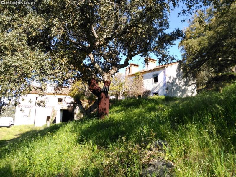 Quinta T6+2 Em Ribeira De Nisa E Carreiras,portalegre, Portalegre ...
