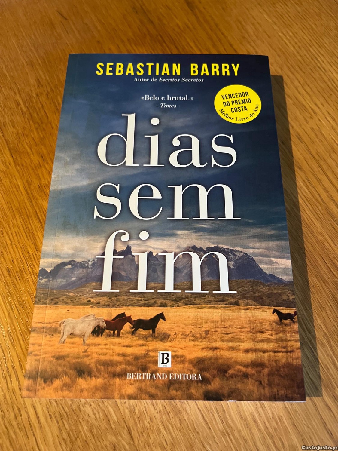 Dias Sem Fim Sebastian Barry | Livros, à venda | Porto | 44711892 ...