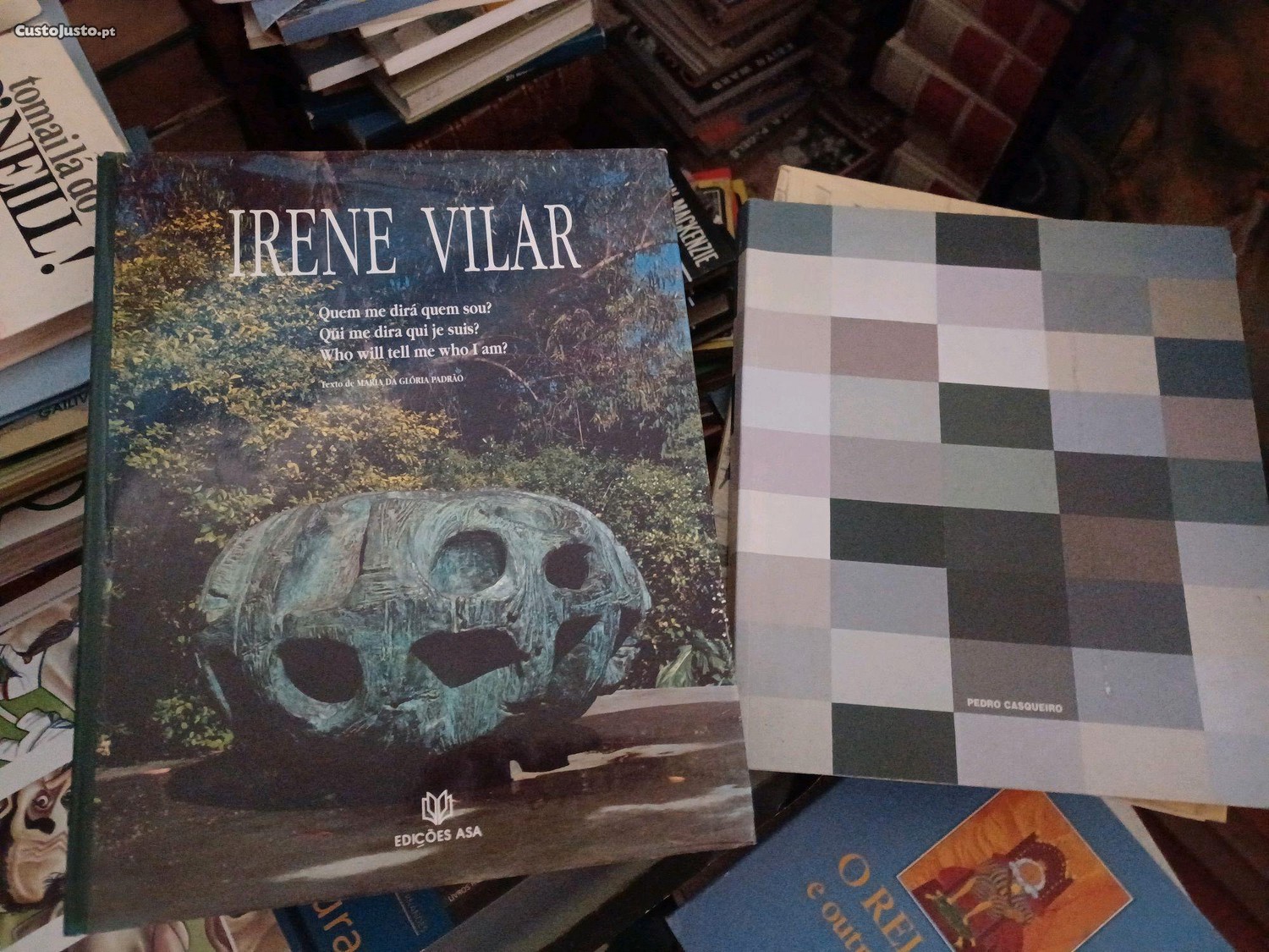 Obras De Pedro Casqueiro E Irene Vilar | Livros, à venda | Lisboa ...