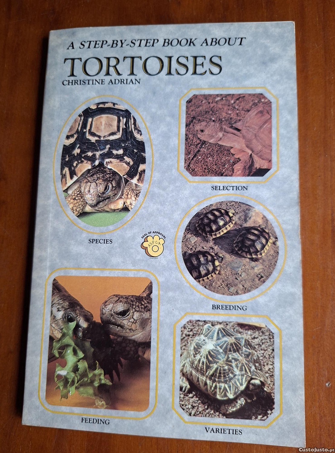 A Step-by-step Book About Tortoises By Christine Adrian | Livros, à ...